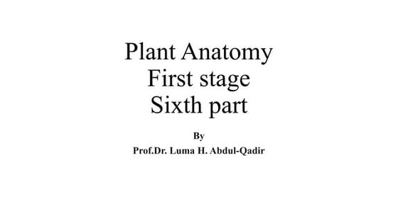 Plant anatomy part 4 | PPTX
