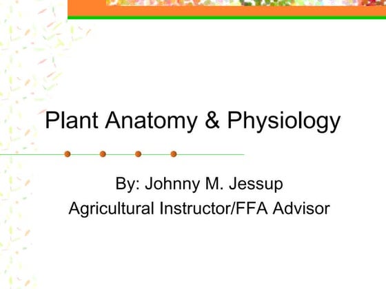 Parts of the plant and their functions | PPT | Gardening | Home & Garden