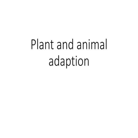 Plant and animal adaptation.pptx
