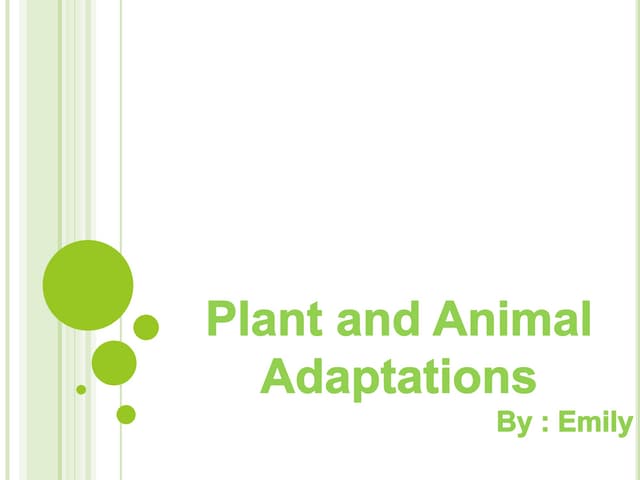 Powerpoint presentation-Adaptation Of Living Organisms In Its ...