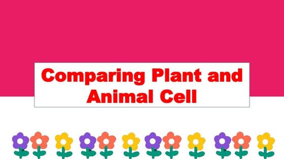 SCIENCE7: Plant and Animal Cells | PPTX