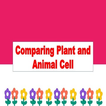 SCIENCE7: Plant and Animal Cells | PPTX