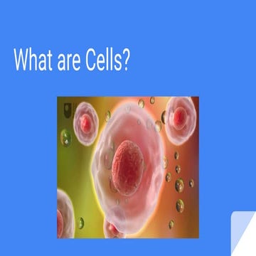Comprehensive Overview of Cell Types and Structures in Biology | PDF