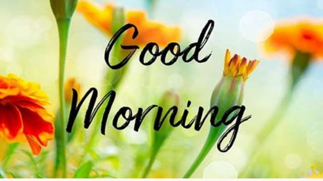 COMPARING PLANT CELL AND ANIMAL CELL (grade 7)ppt.pptx