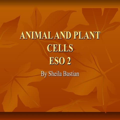 Plant and animal cells2 | PPT