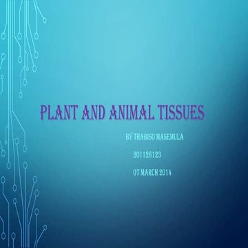 Plant and animal tissues | PPTX