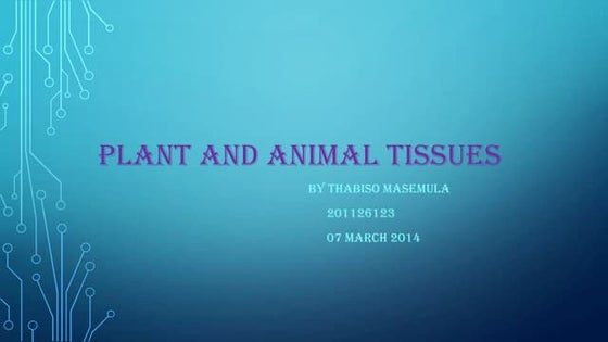 Animal Tissues PowerPoint Presentation | PPTX | Physical Therapy | Wellness