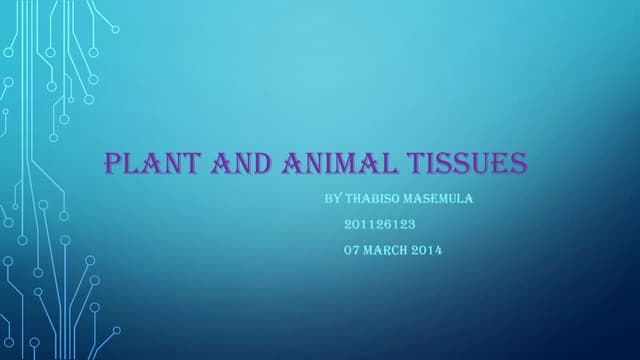 Plants and Animals Tissues | PPTX