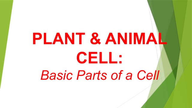 USES OF RATES GRADE 7 MATHEMATICS .pptx