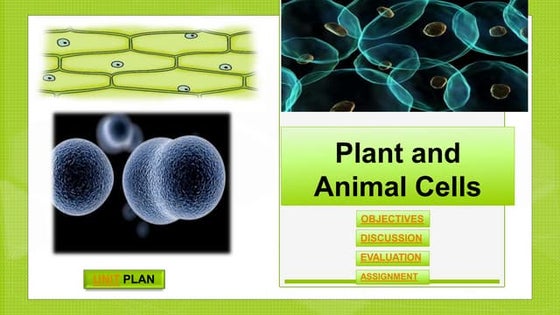 SCIENCE7: Plant and Animal Cells | PPTX
