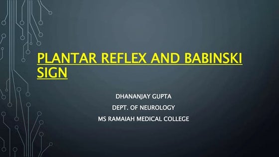 Anterior cerebral circulation | PPT