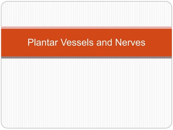dorsum of foot anatomy presentation.pptx | Death, Injury, or Military ...