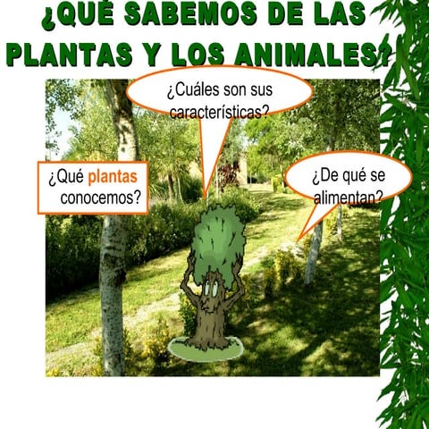Plantas | PPT