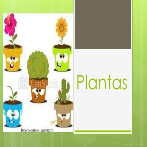 Vida en animales y plantas | PPT