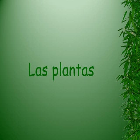 Las plantas, diapositivas | PPT