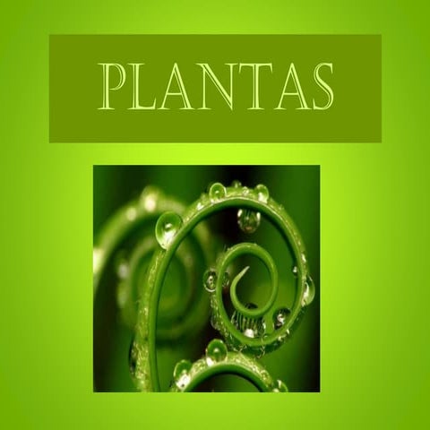 Plantas | PPTX