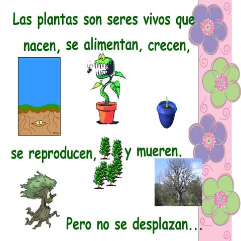 Las plantas | PPT