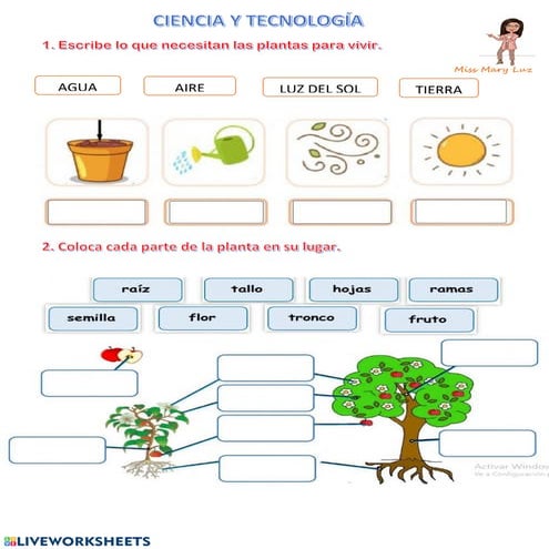 ciencias naturales, desarrollo delas plantas 2.pdf