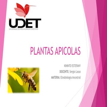 PLANTAS APICOLAS.pptx