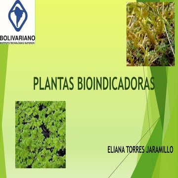 apoplasto y simplasto Absorcion del agua por las plantas | PDF