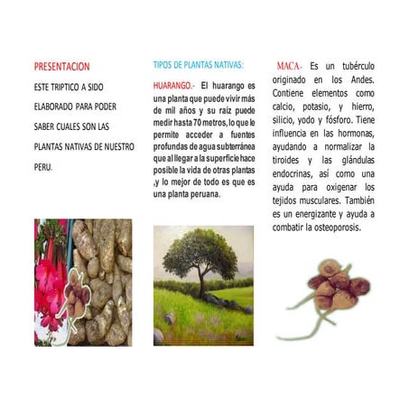 Plantas nativas hgi | DOCX