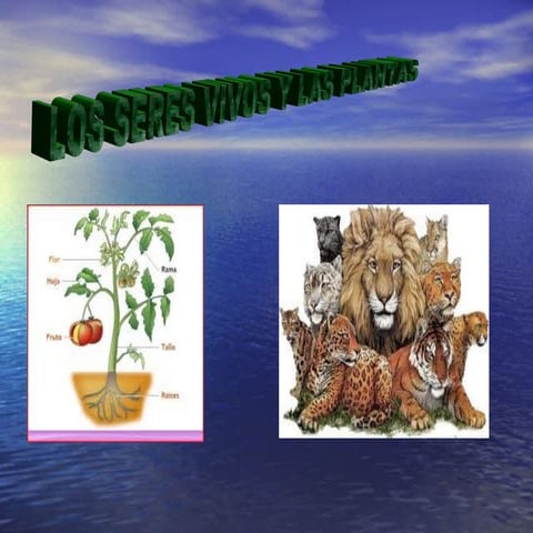 Plantas y animales | PPT