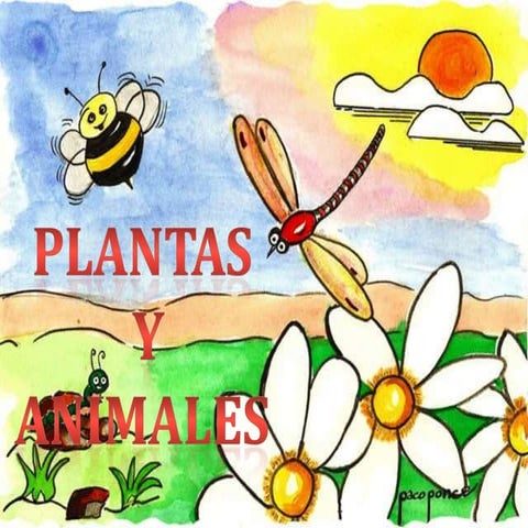 PRECENTACION DE PLANTAS Y ANIMALES | PPTX