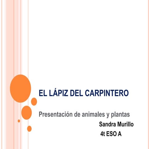 Clasificación de las plantas | PPTX