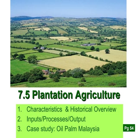 Plantation Agriculture | PPT