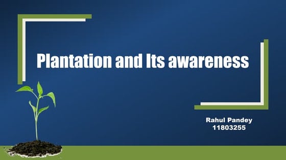 Tree plantation | PPT