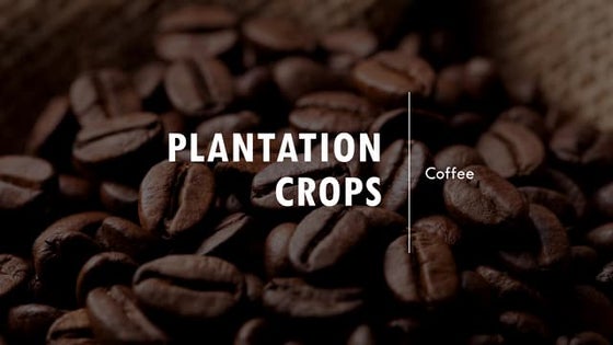 Coffee-Cultivation & Processing.pptx | Gardening | Home & Garden
