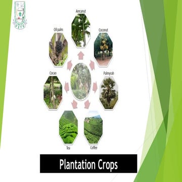 Plantation Crops criteria importance.ppt