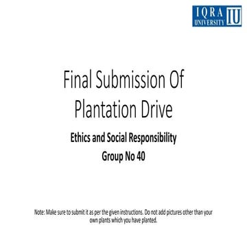 Plantation Drive Final report presentation Group 40.pptx