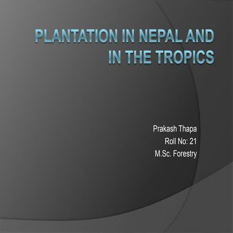 Plantation in nepal and in the tropics prakash thapa | PPTX