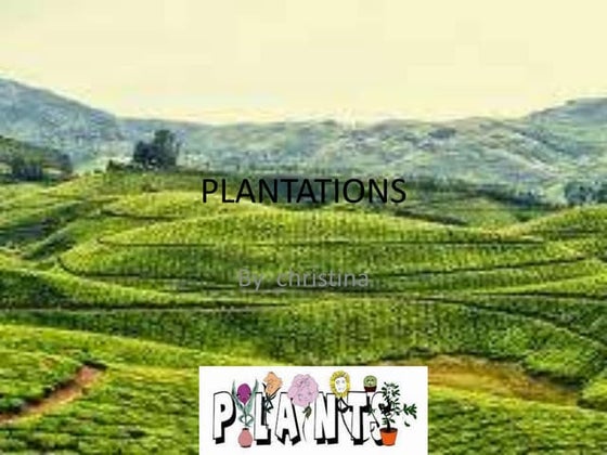 Tree plantation | PPT