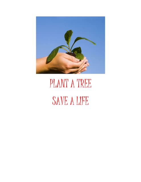 How to plant a tree | PPT