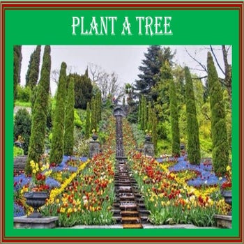 Plant a tree | PDF