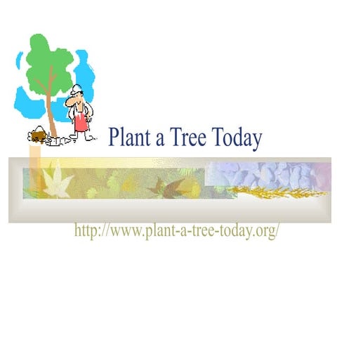 Plant a Tree Today | PPT