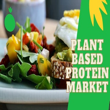 Plant Based Protein Market By BMRC 2020 | PDF