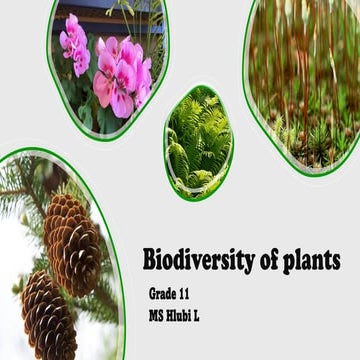 Plant biodiversity life sciences grade 11 | PDF