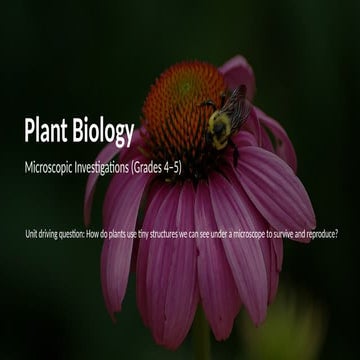 Comprehensive Grade 8 Science Lesson Plan on Plant Transport Systems | DOCX