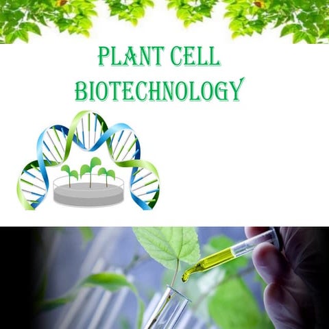 Forest Biotechnology | PPTX
