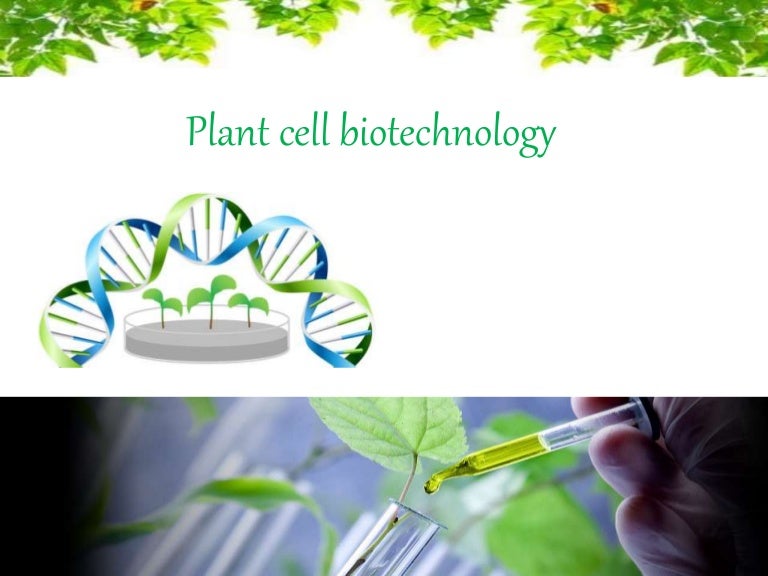 Plant biotechnology