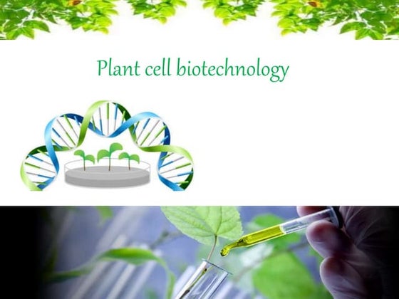 Plant Biotechnology: Introduction, Scope and Application | PPT