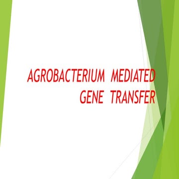 Agrobacterium mediated gene transfer | PPTX
