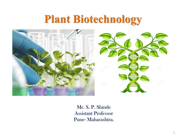 Automated Method of Analysis | PDF