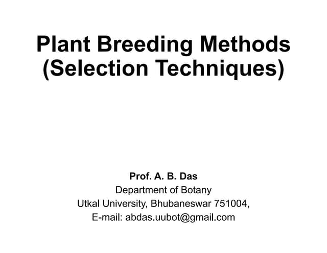 Bulk method pedigree method &line breeding | PPTX