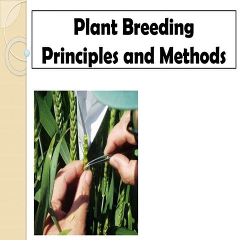 Plant Breeding (1).pptxxxxxxxxxxxxxxxxxxxxxxxxxxxxxxx | PPTX