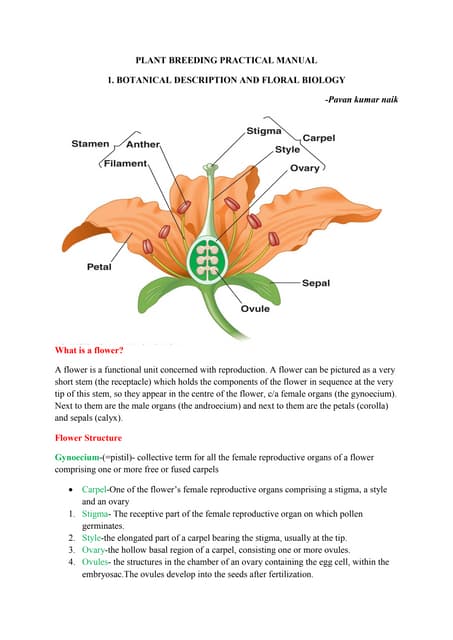 Pract no. 9 (b) floral biology of mango | PPT
