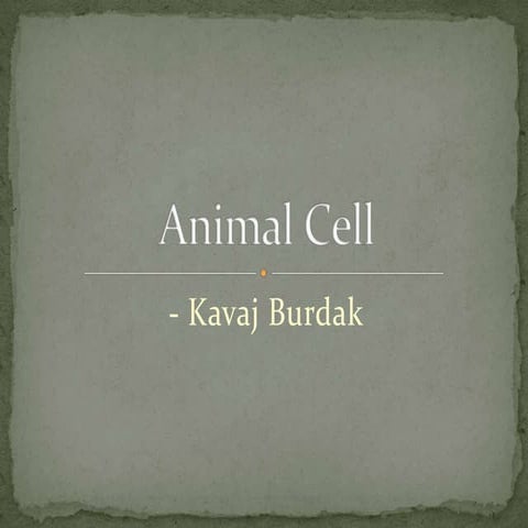 Comprehensive Overview of Plant Cell Structure and Functions for ...
